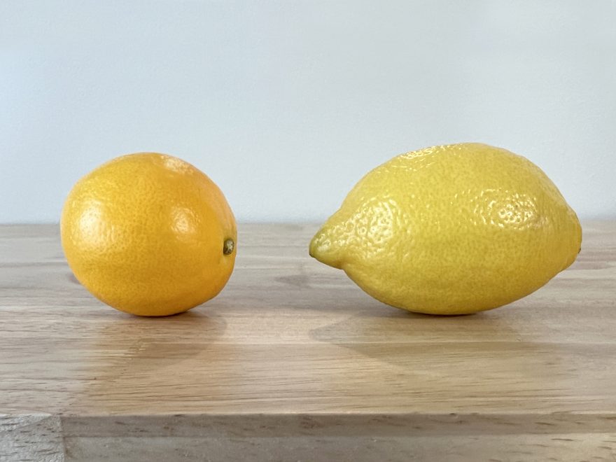 Meyer Lemon vs. Regular Lemon: What’s the Difference? - EdibleGardenGirl